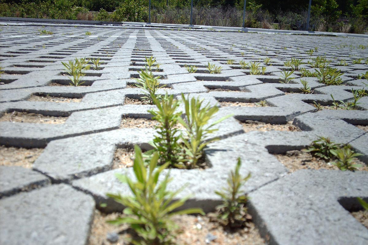 What are permeable pavers? A sustainable hardscape solution